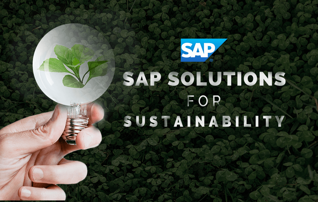 SAP Solution in Sharjah & Dubai - TechPoint Business Solution Private Ltd - Rise with SAP ...